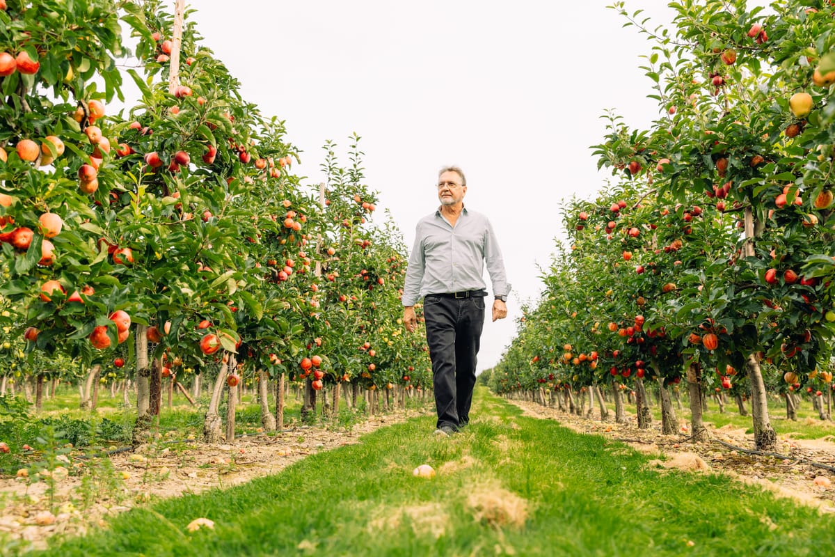 A Spectacular Jubilee Apple Cake by Raymond Blanc - Organic Chef ...